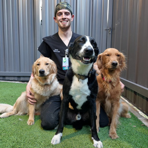 Veterinarian In Boerne, TX 78006 | HCA Emergency Hospital